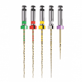 DENTSPLY TRUNATOMY FILE 21MM - Arthodent