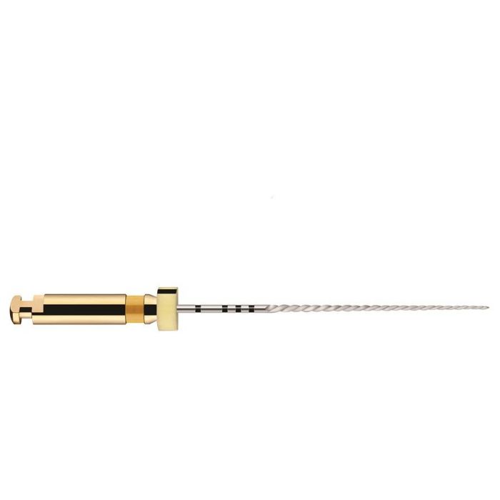 DENTSPLY PATHFILE 31MM/019 - Arthodent